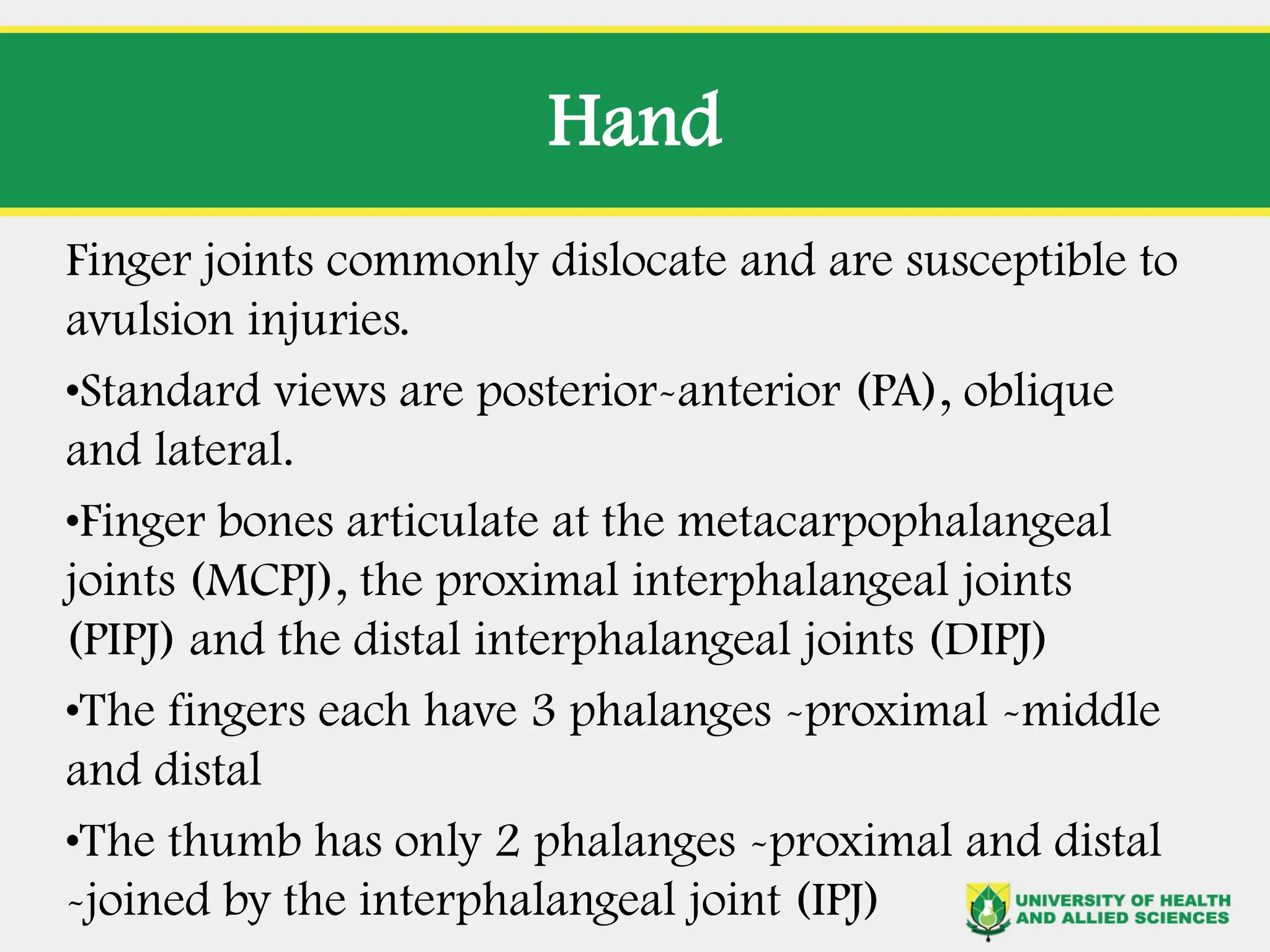 Lecture 5 Interpretation of upper limb 2.pdf