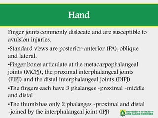 Lecture 5 Interpretation of upper limb 2.pdf