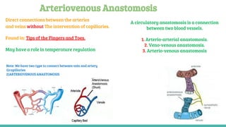 Lecture (5) INTRODUCTION OF CARDIOVASCULAR SYSTEM (CVS) .pdf