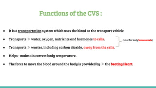 Lecture (5) INTRODUCTION OF CARDIOVASCULAR SYSTEM (CVS) .pdf