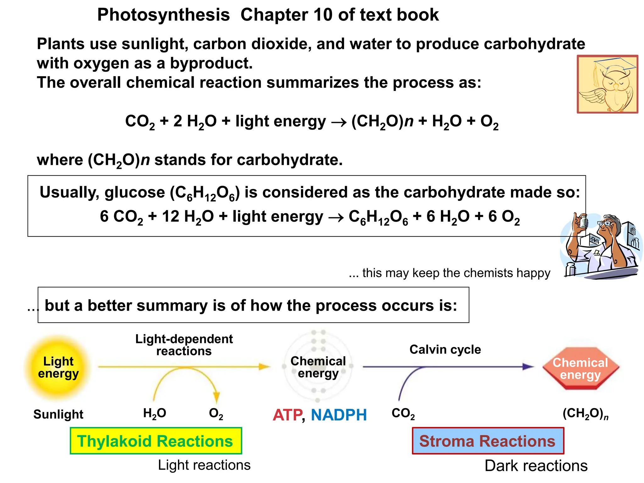 light reaction of photosynthesis (botany) | PPTX
