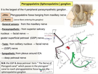 Lecture 5 (The maxillary nerve and pterygopalatine ganglion) | PPTX