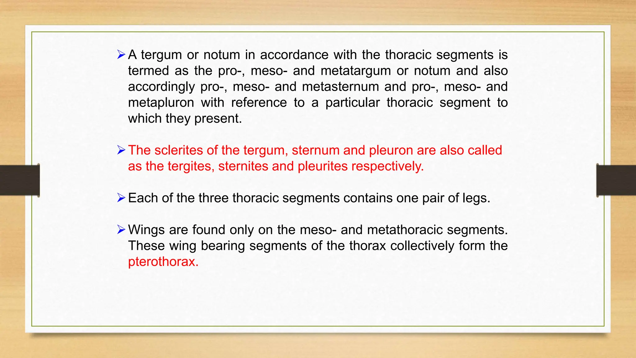 Insect body segmentation , all about the parts of insect body , body ...