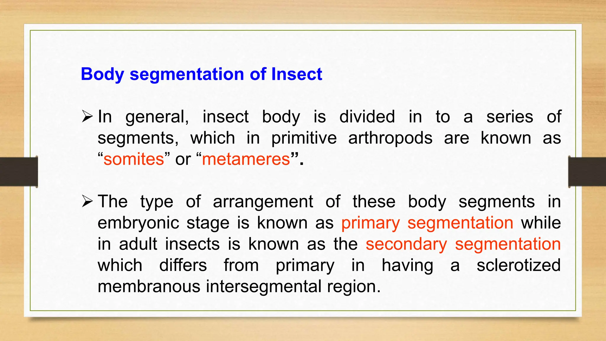 Insect body segmentation , all about the parts of insect body , body ...