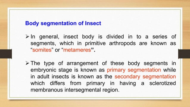 Insect body segmentation , all about the parts of insect body , body ...