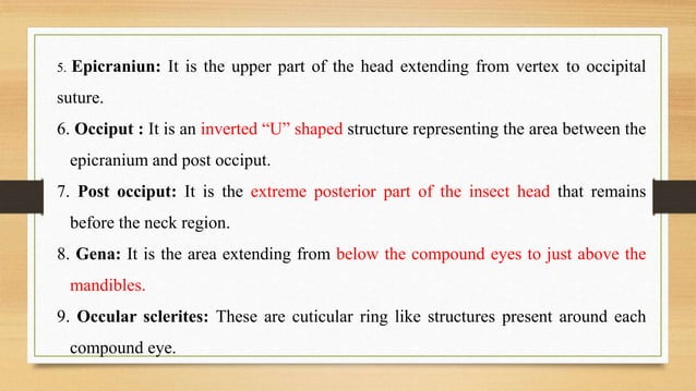 Insect body segmentation , all about the parts of insect body , body ...