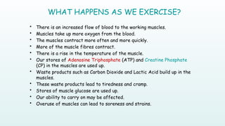 Lecture 5 Muscular system of human body.pptx