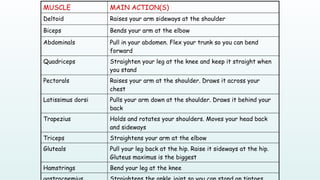 Lecture 5 Muscular system of human body.pptx
