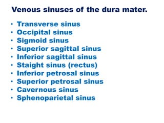 Lecture 5 OSTA head.ppt