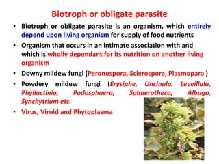 Lecture 5 Parasitism.pptx