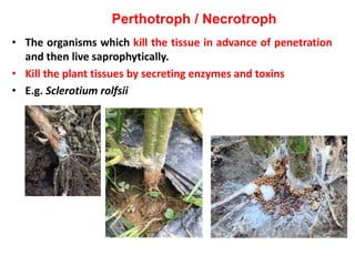 Lecture 5 Parasitism.pptx