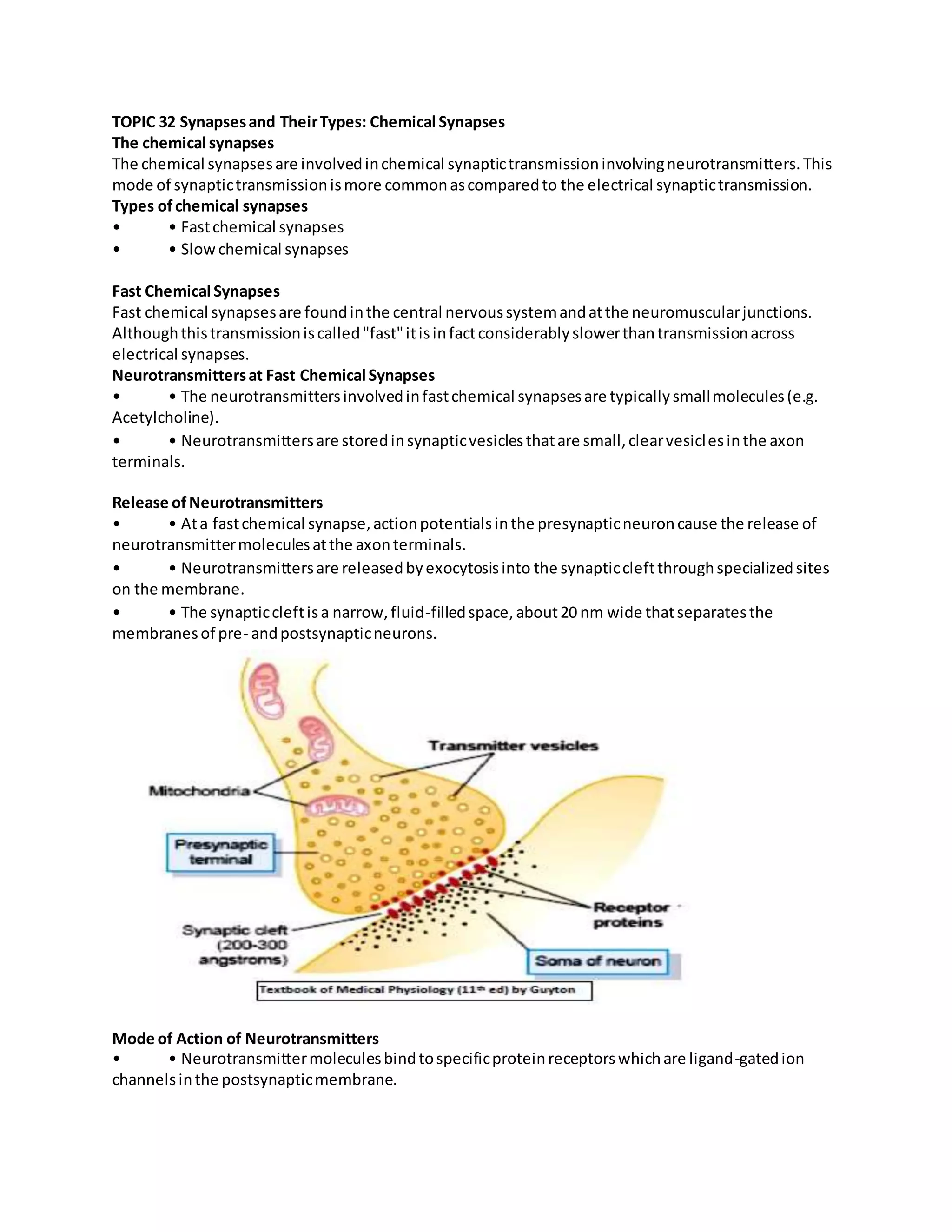 lecture 5 physio.docx