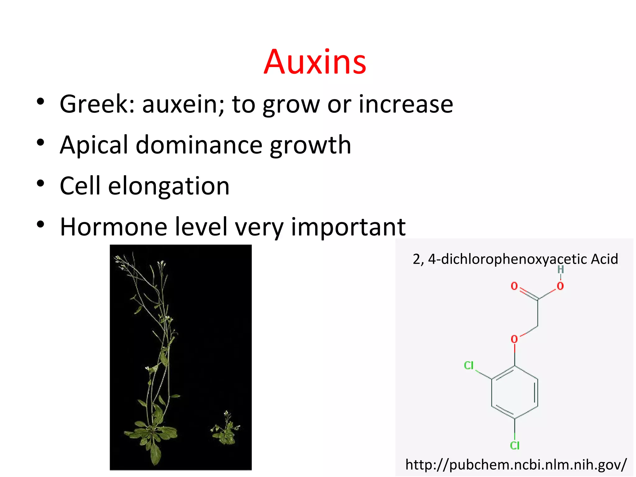 Lecture 5 plant hormones 2014 | PPT
