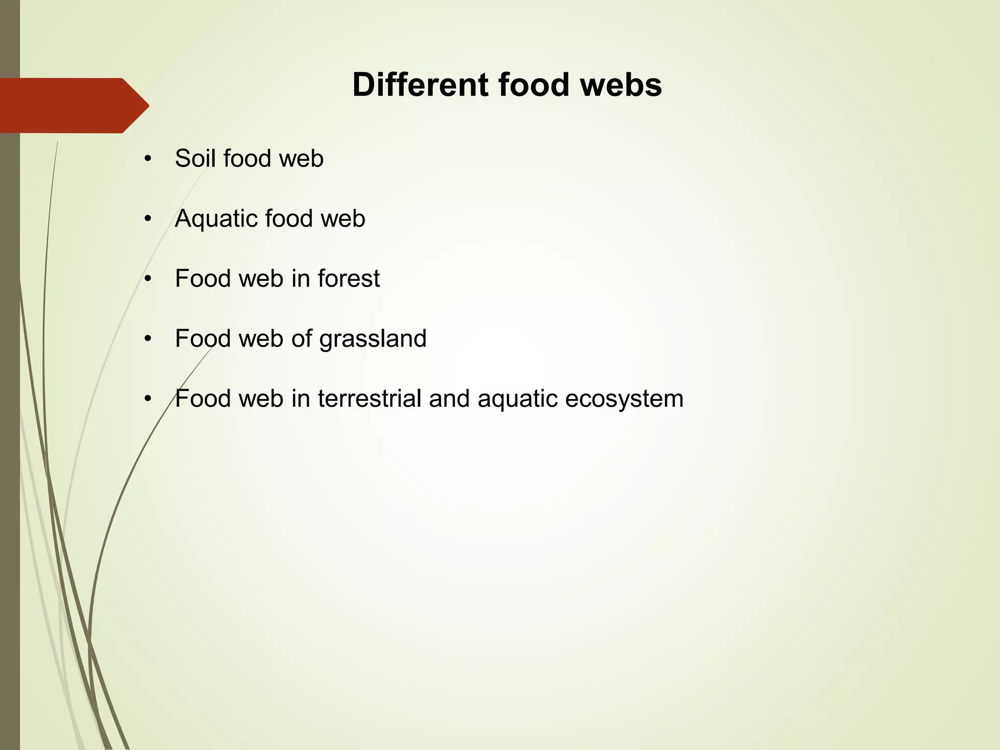 Lecture 5ppt Food chain, food web, ecological pyramids | PDF ...