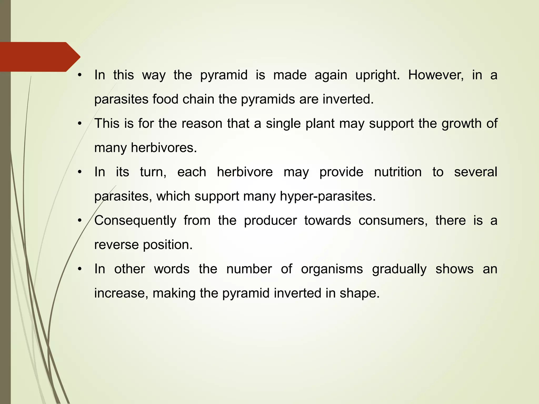 Lecture 5ppt Food chain, food web, ecological pyramids | PDF
