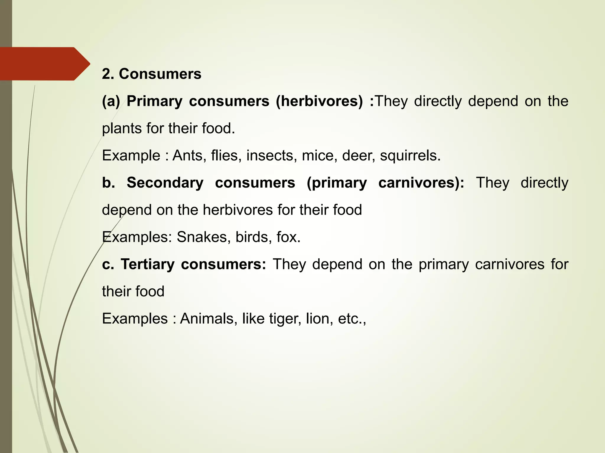 Lecture 5ppt Food chain, food web, ecological pyramids | PDF