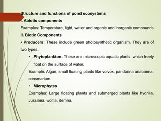 Lecture 5ppt Food chain, food web, ecological pyramids | PDF