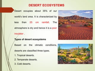 Cold Desert Energy Pyramid
