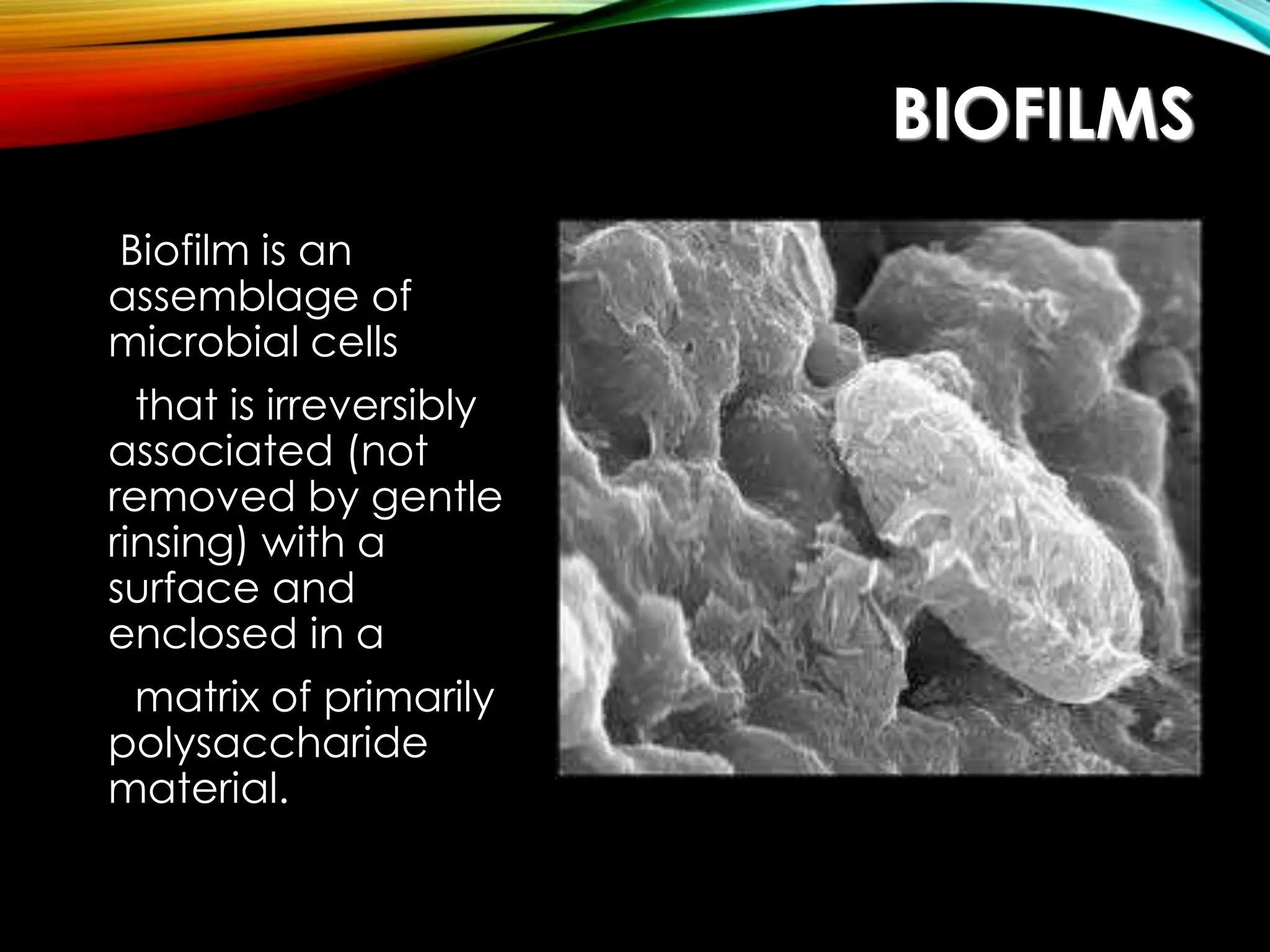 Biofilm formstion lecture (ppt)MicroECO.pdf