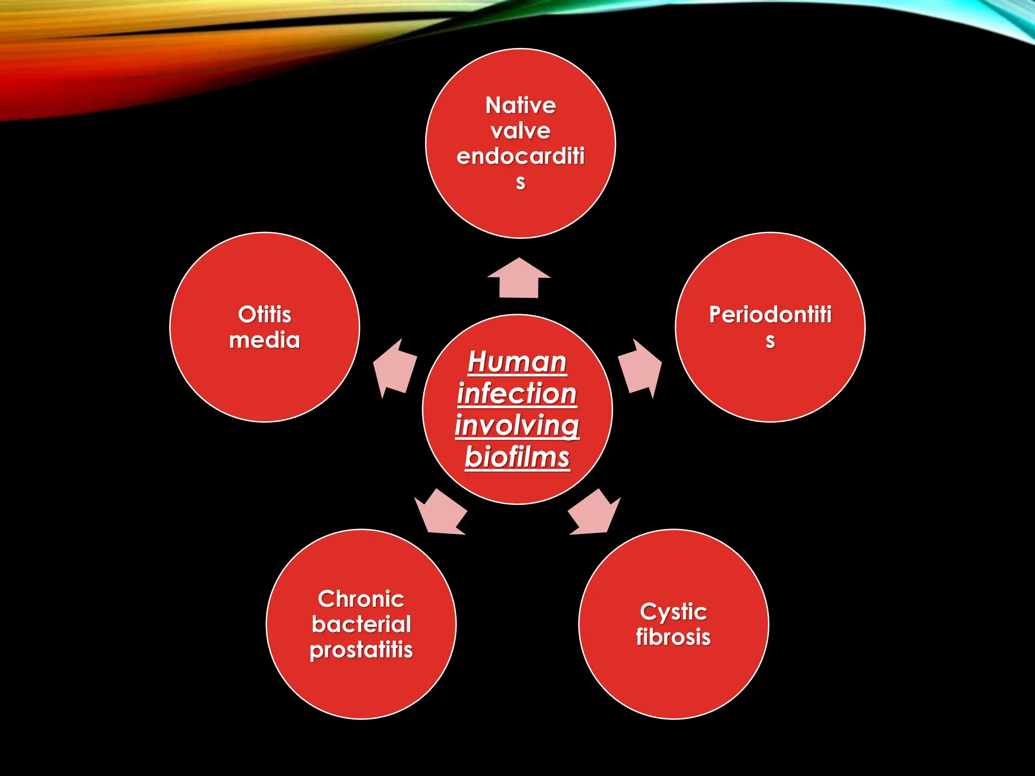 Biofilm formstion lecture (ppt)MicroECO.pdf