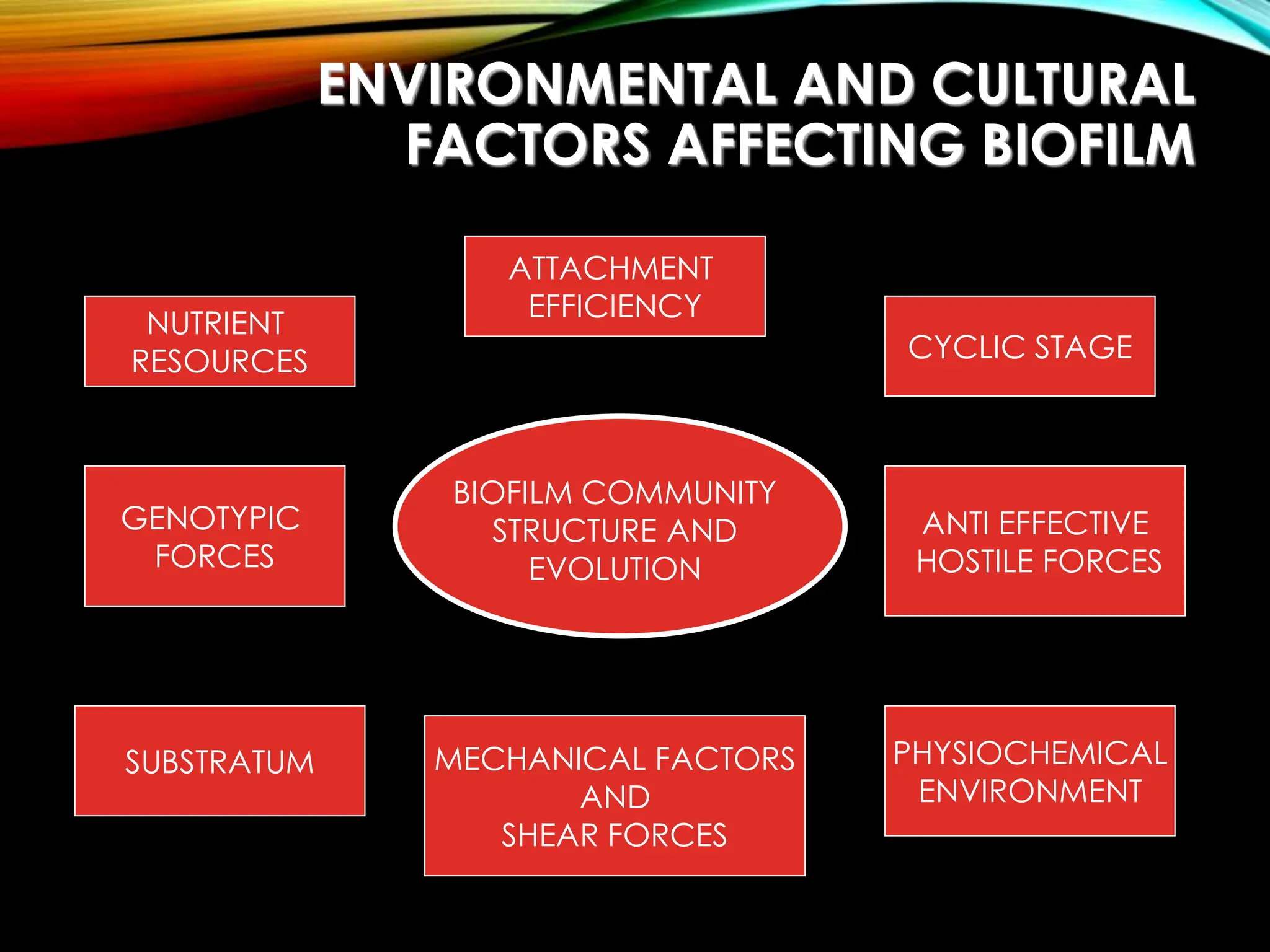 Biofilm formstion lecture (ppt)MicroECO.pdf