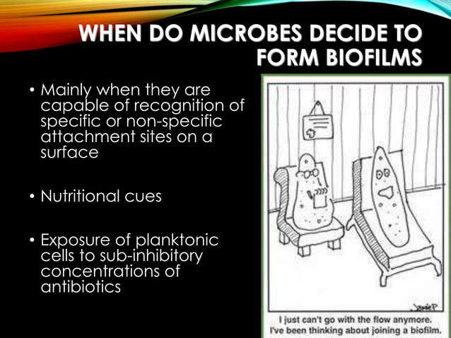 Biofilm formstion lecture (ppt)MicroECO.pdf