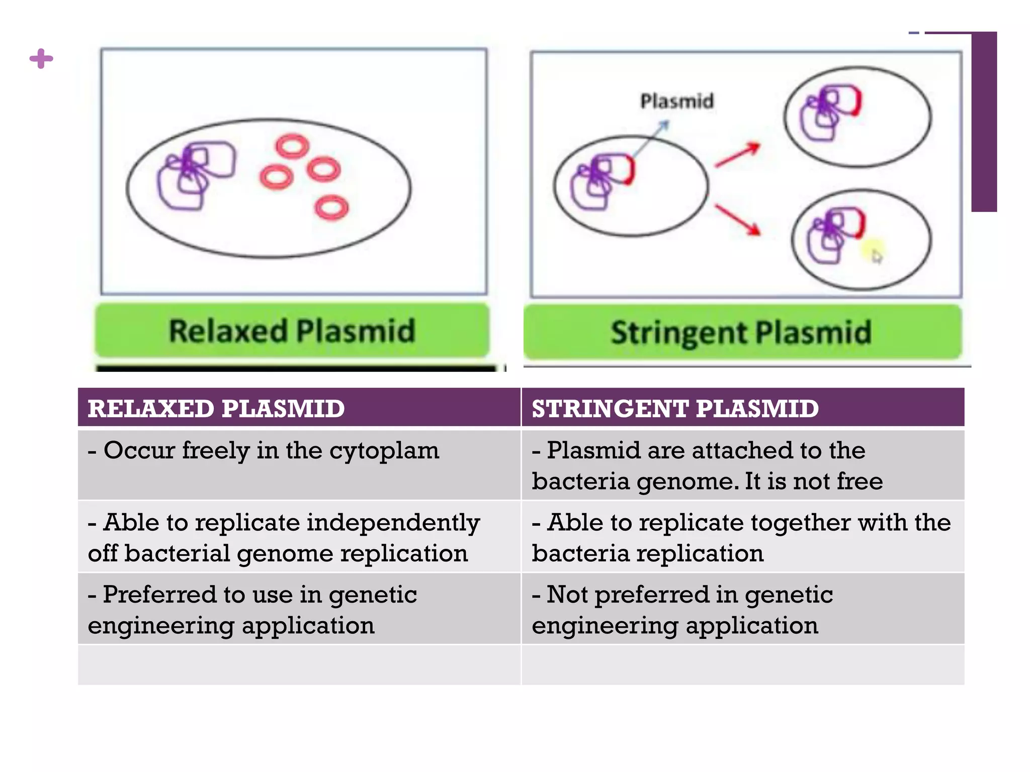 LECTURE 5_Principle of Cloning.pdf