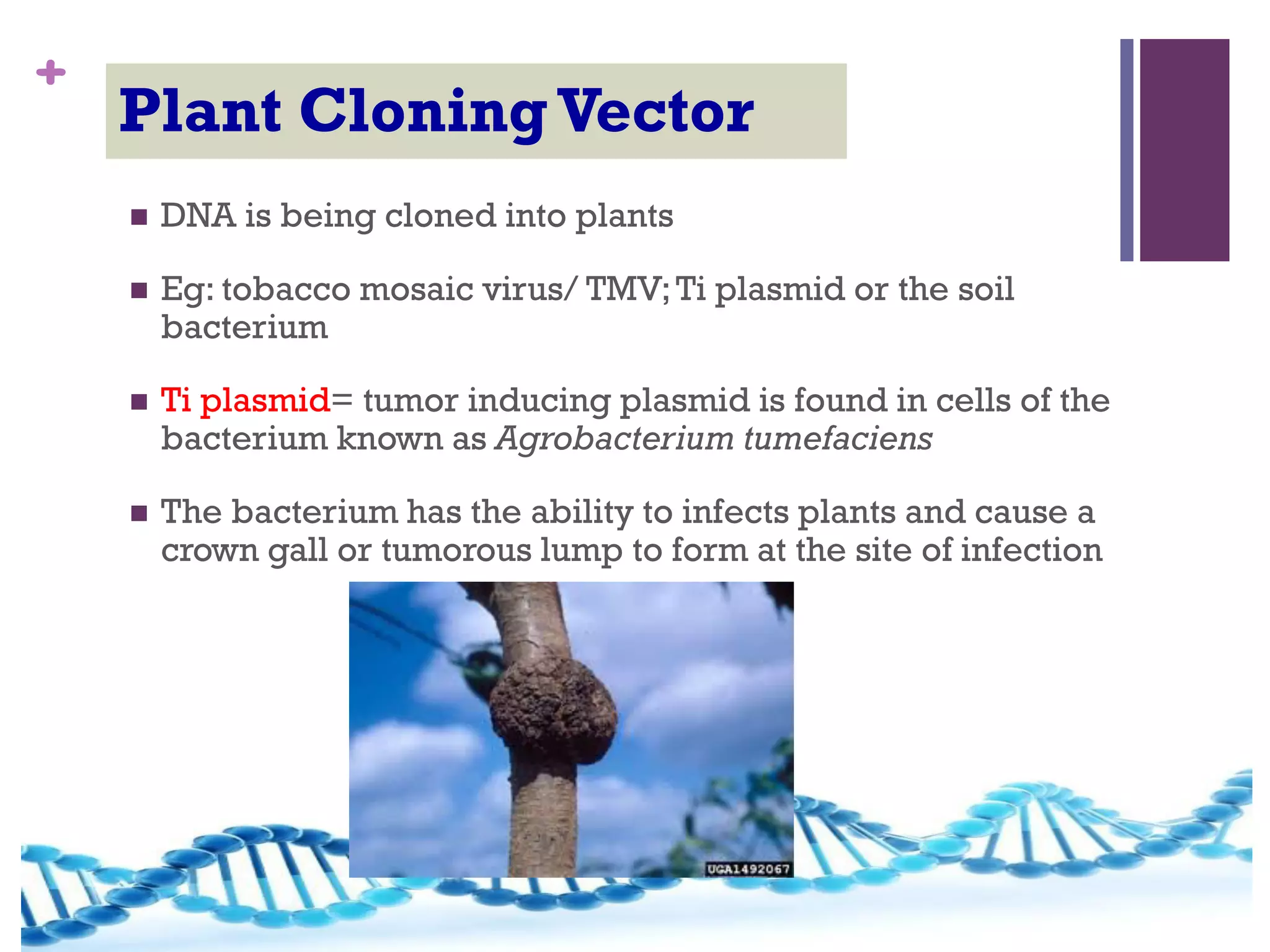 LECTURE 5_Principle of Cloning.pdf
