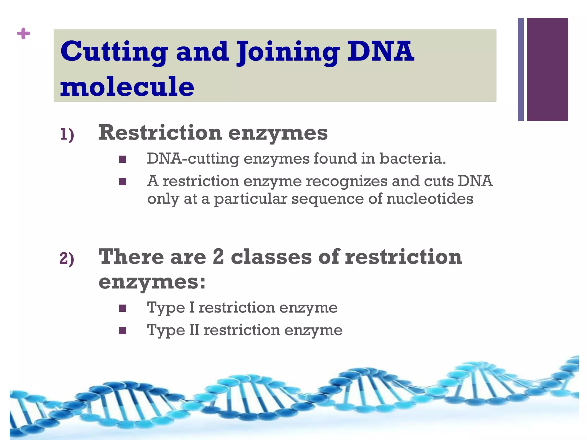 LECTURE 5_Principle of Cloning.pdf
