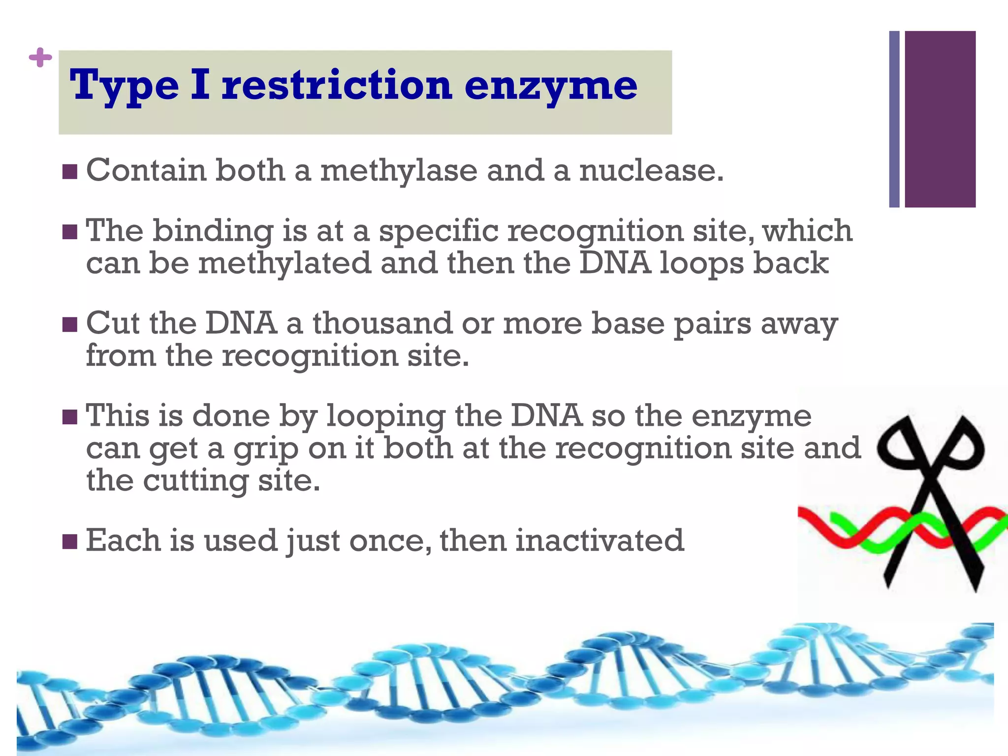 LECTURE 5_Principle of Cloning.pdf