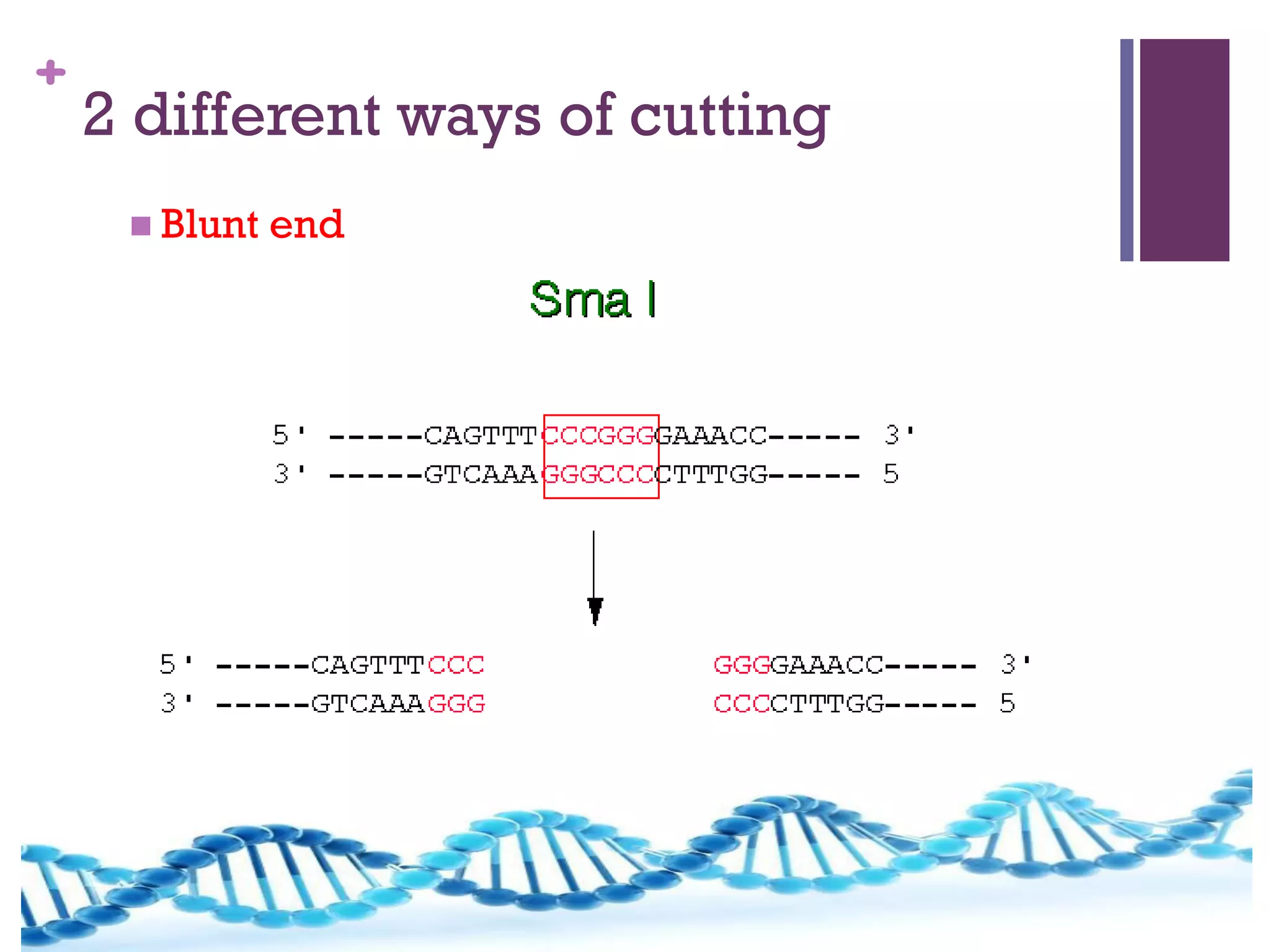 LECTURE 5_Principle of Cloning.pdf