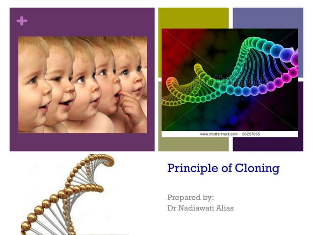 LECTURE 5_Principle of Cloning.pdf