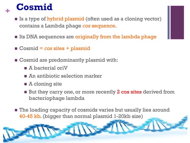 LECTURE 5_Principle of Cloning.pdf