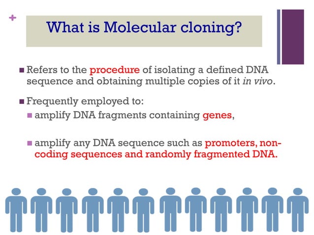 LECTURE 5_Principle of Cloning.pdf