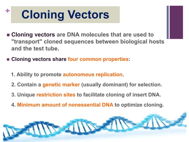 LECTURE 5_Principle of Cloning.pdf