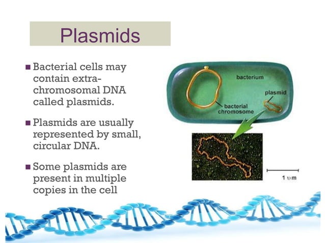 LECTURE 5_Principle of Cloning.pdf