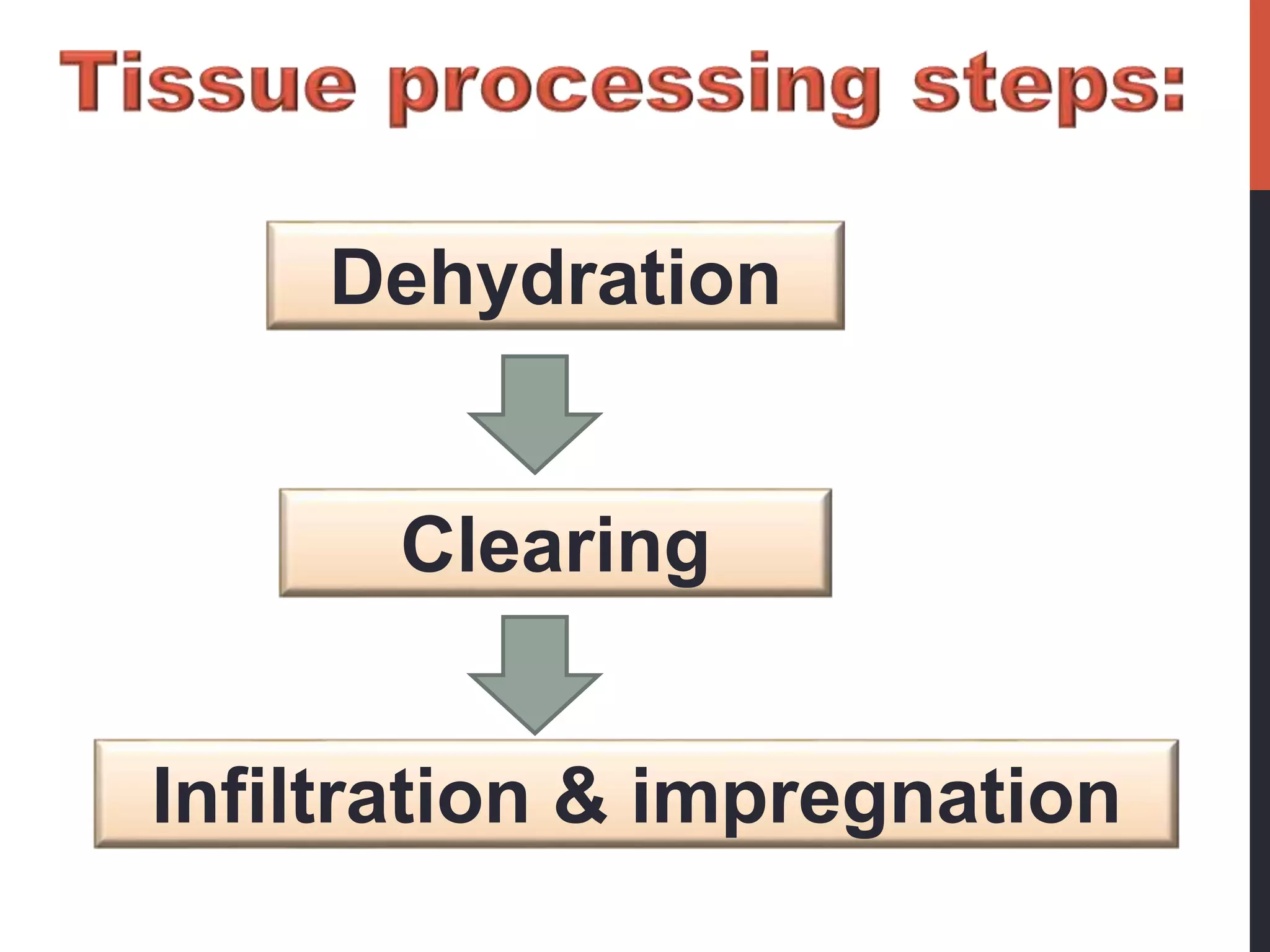 Lecture (5) processing of tissue in histopathology laboratory | PPTX