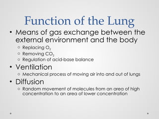 Lecture 5 Respiration during Exercises (1).pptx