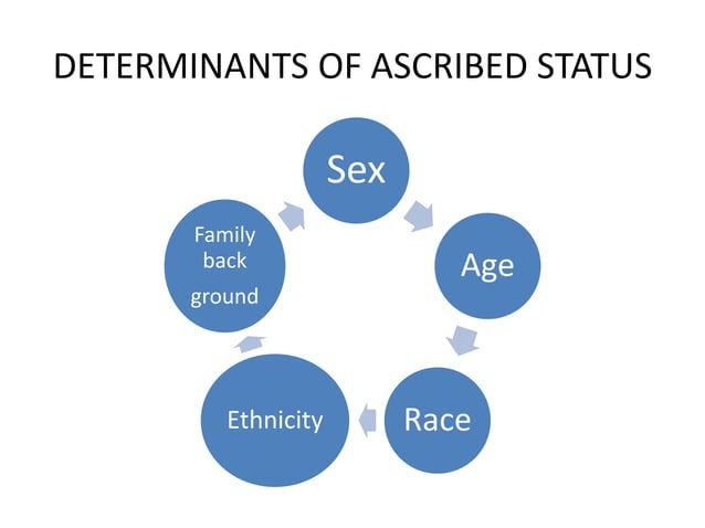 Lecture 5 social status and role | PPTX