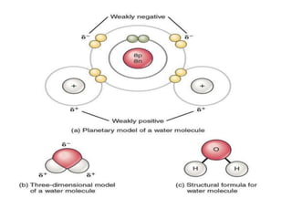lecture 5 Structure and properties of water.pptx