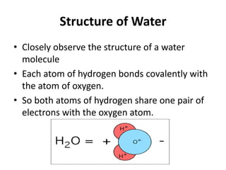 lecture 5 Structure and properties of water.pptx | Chemistry | Science