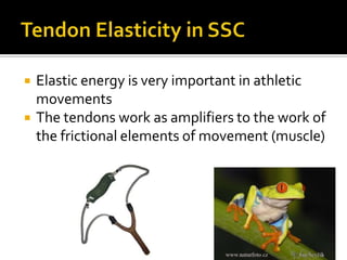 Lecture 5 task specific strength2_(pt2) ppt | PPTX