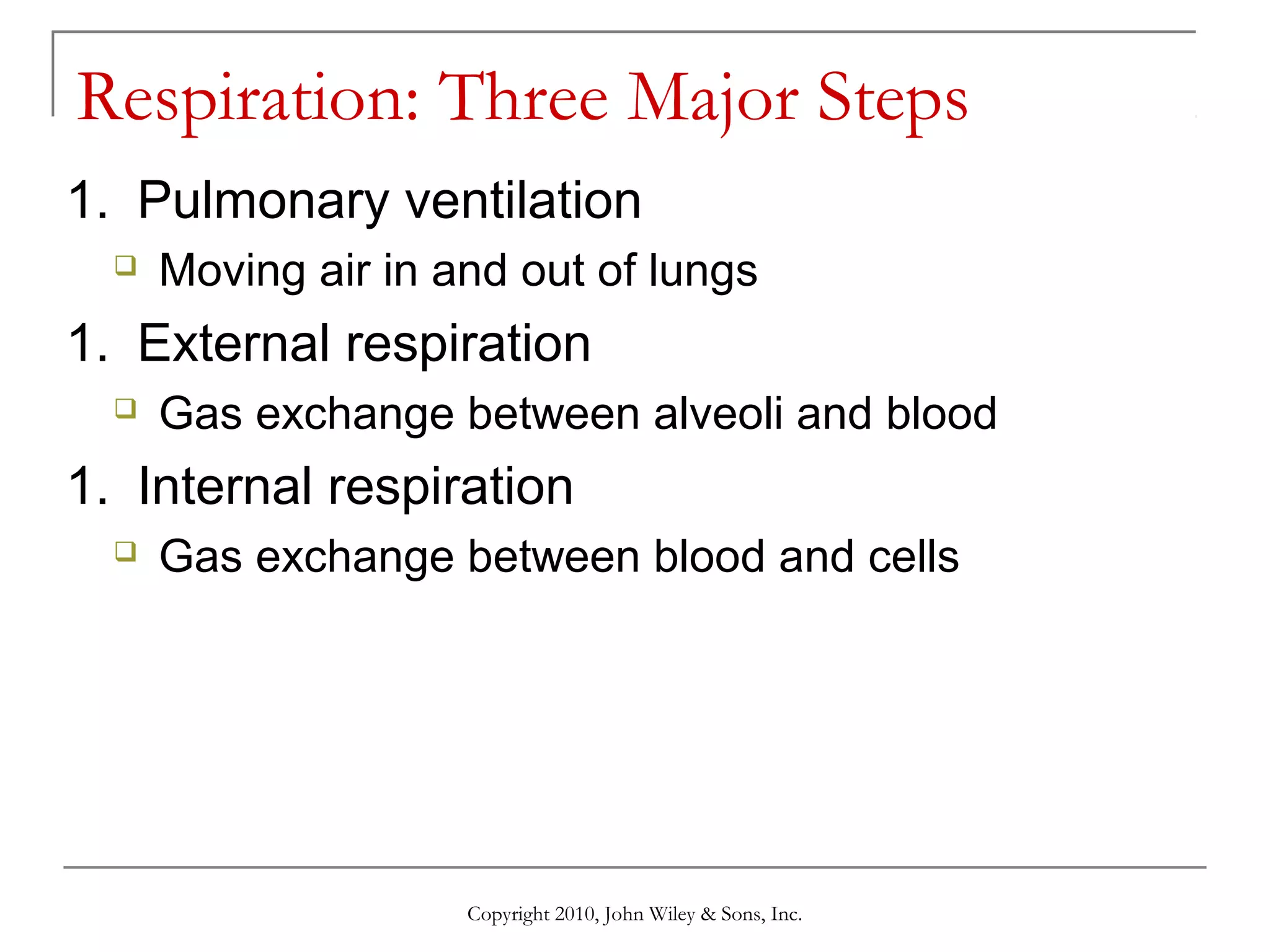 Lecture 5 the respiratory system | PPT