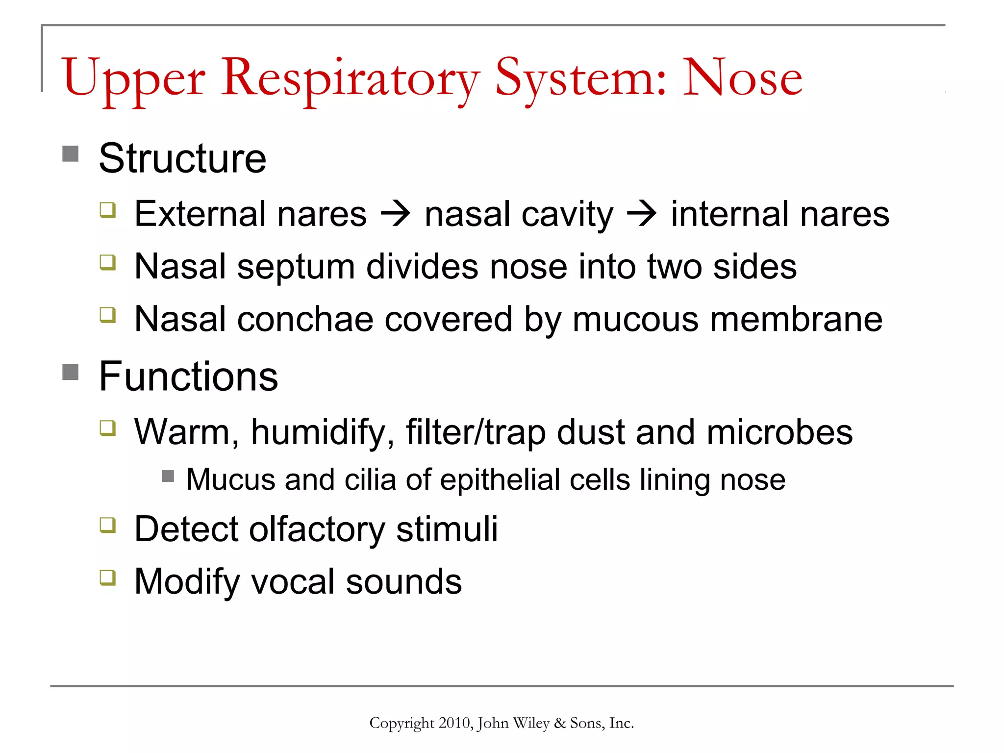 Lecture 5 the respiratory system | PPT