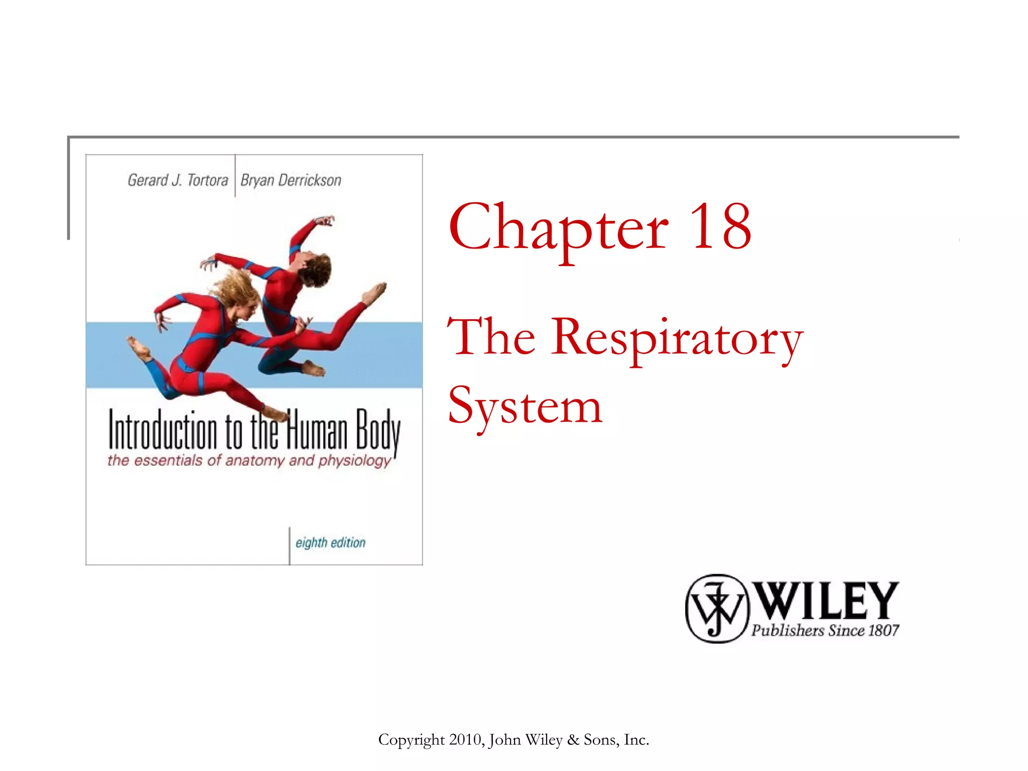 Lecture 5 The Respiratory System Ppt