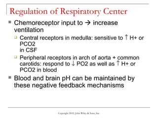 Lecture 5 the respiratory system | PPT