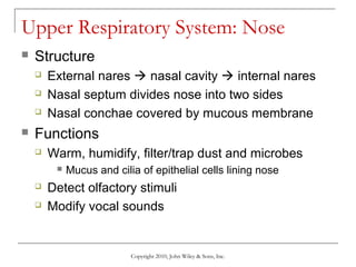 Lecture 5 the respiratory system | PPT