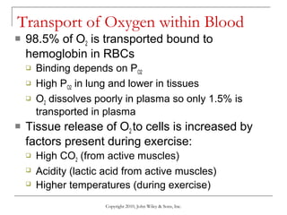 Lecture 5 the respiratory system | PPT
