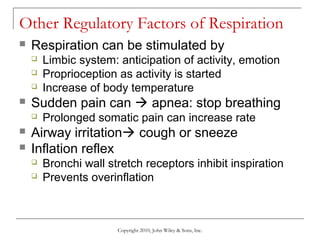 Lecture 5 the respiratory system | PPT