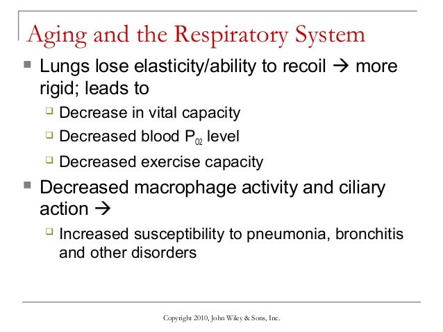 Lecture 5 the respiratory system